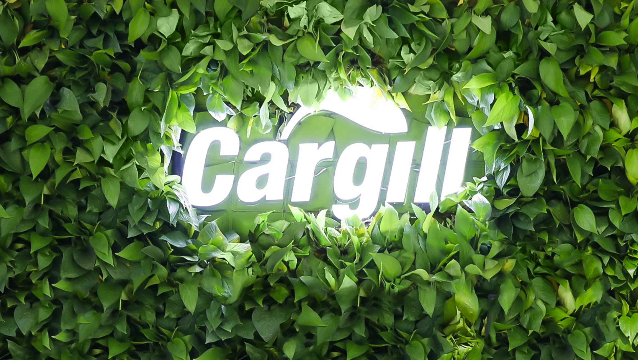 Cargill and H2 Green Steel sign multi-year offtake contract - Stegra